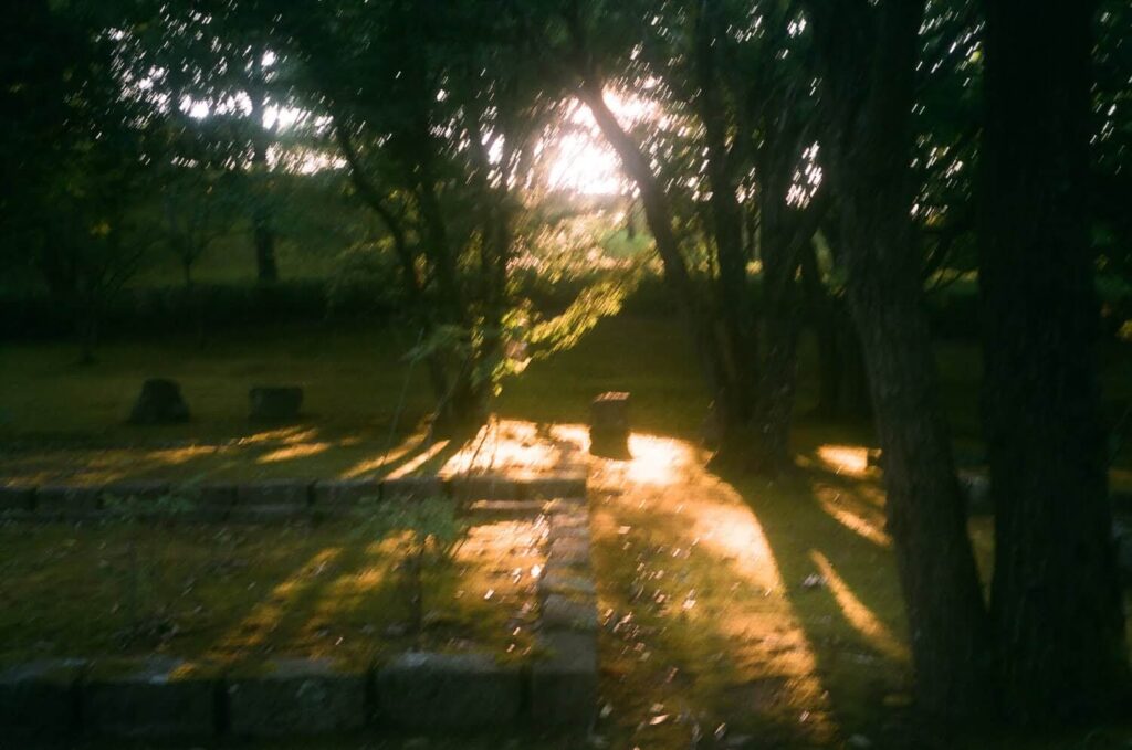 「FUJIFILM フジカラー SUPERIA PREMIUM 400」作例｜入手しやすいフィルム。基本的かつ鮮やかな写りがよき。｜テントテン